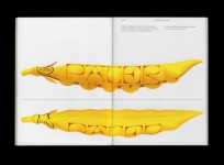 A Tipografia Conceitual de Jan Novák via @pristinaorg